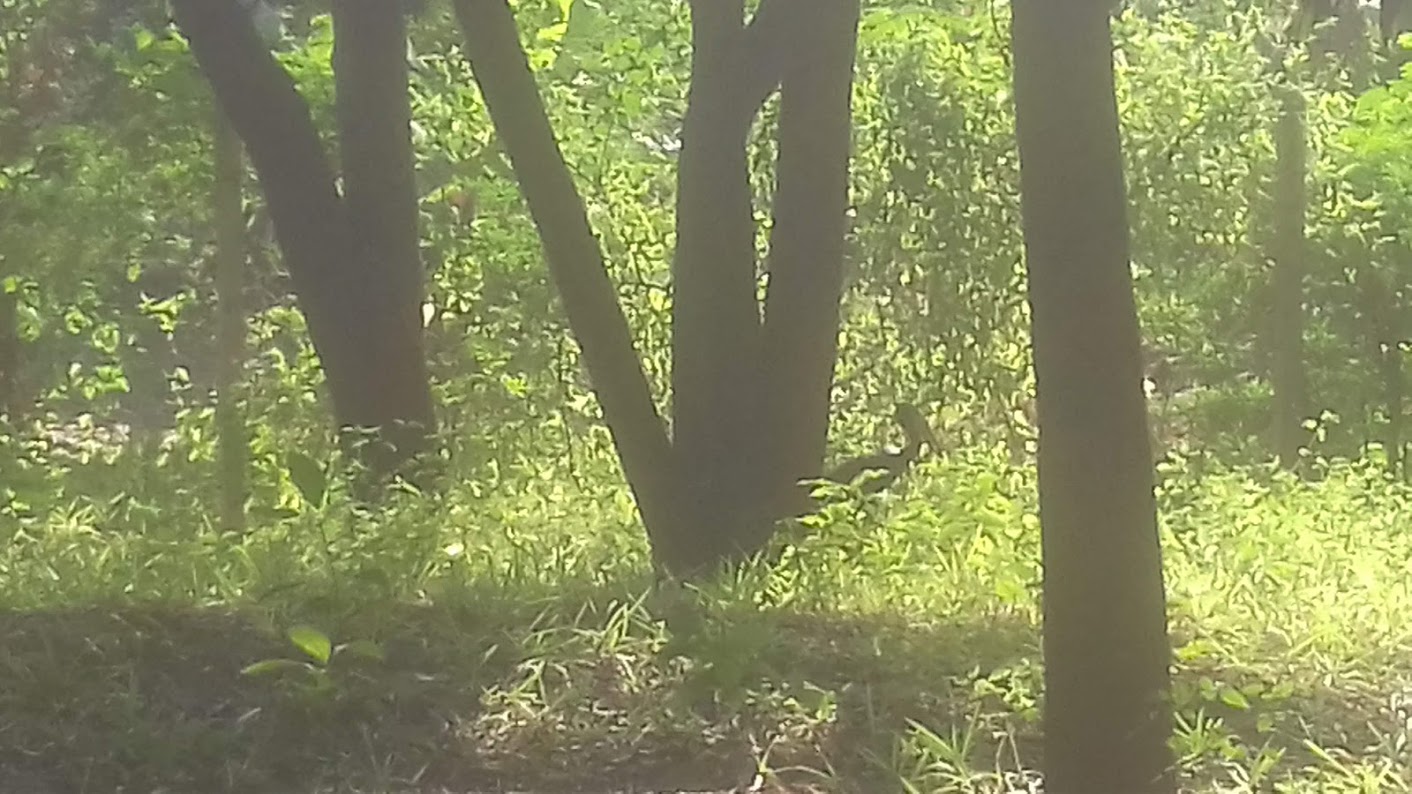 Your home and energy – Kijanisha Dar ! – Dar Green Guide